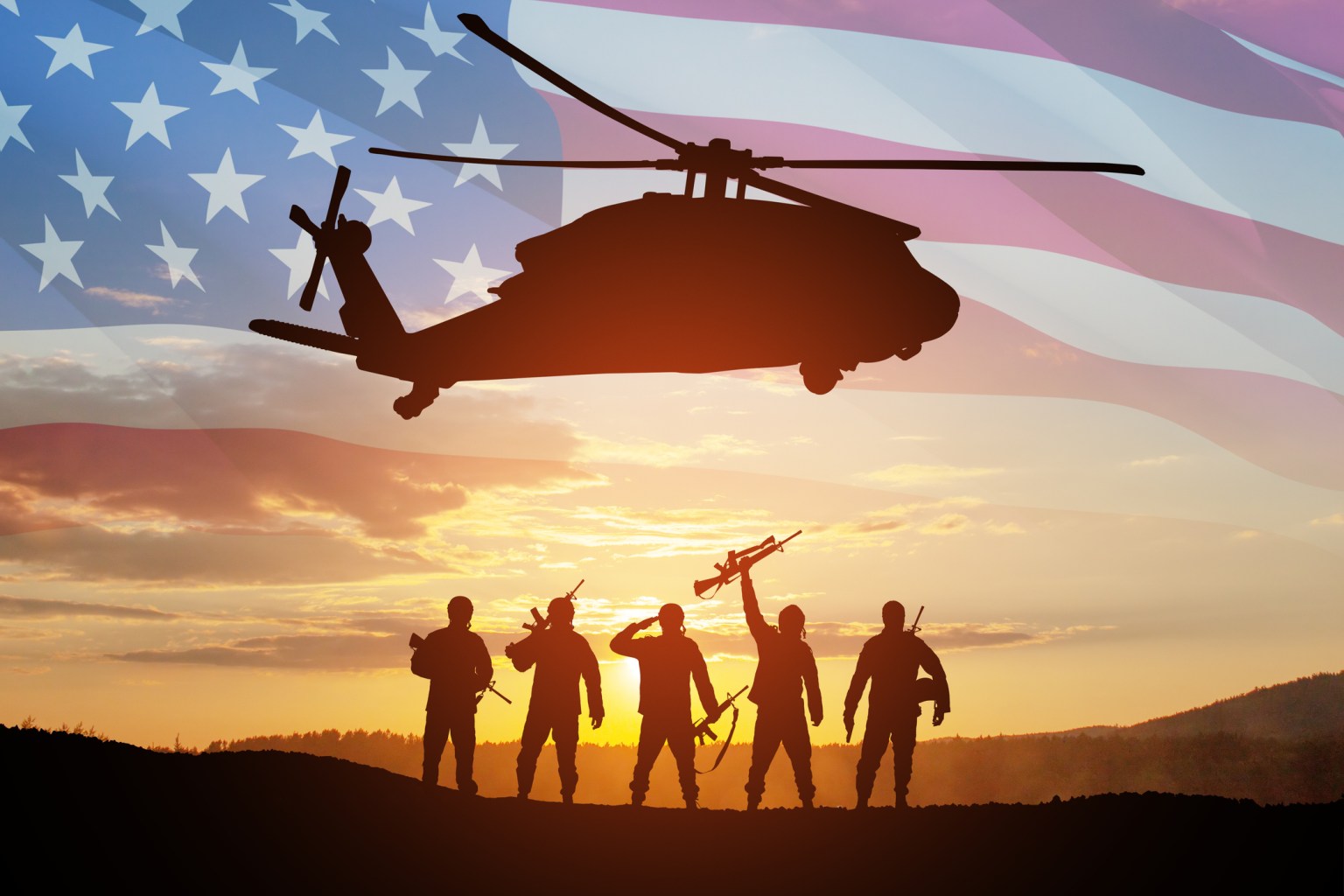 Company - Integrity Defense Solutions